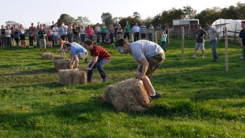 Team Building popular with the Financial Services - Farm Adventure