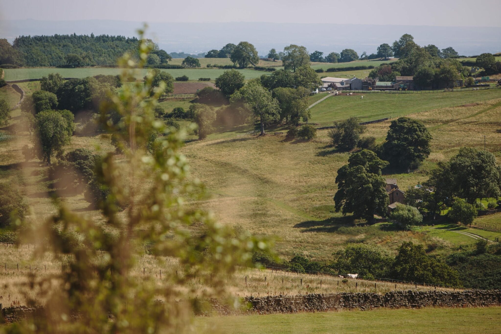 Creating our new farm brand Hill Top Herefords - Farm Adventure