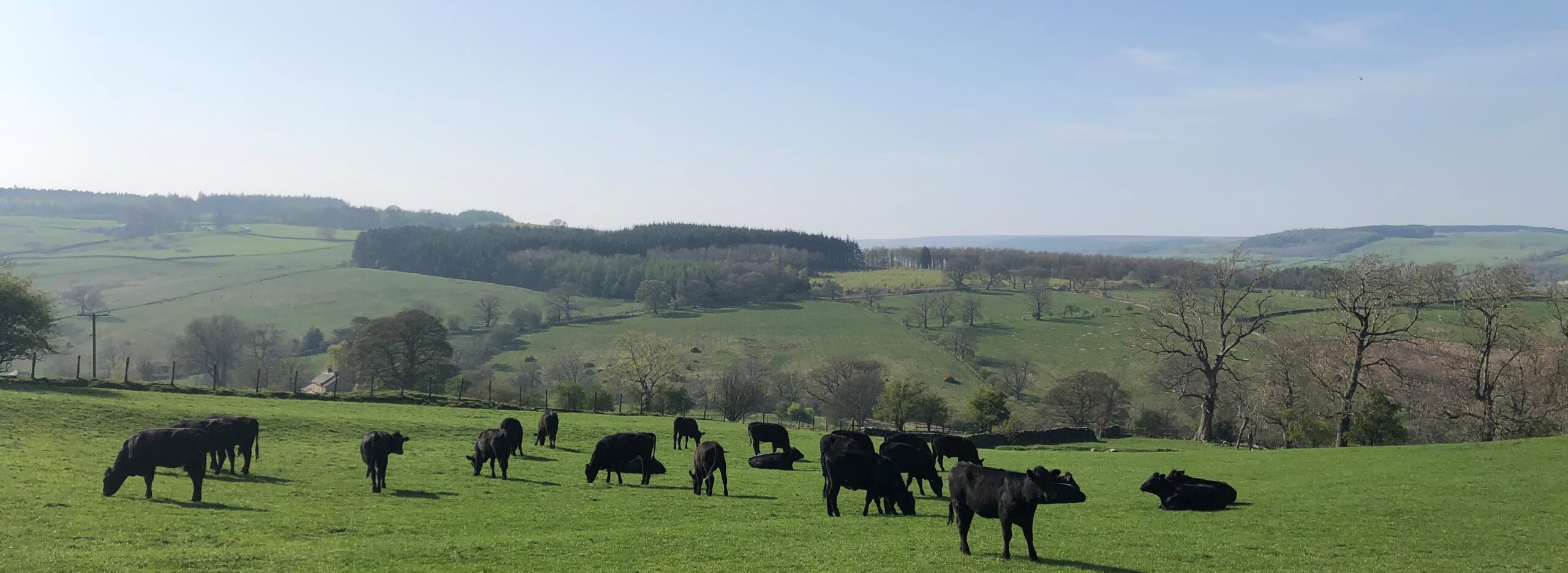 Is Clarkson's Farm inspiring more people to learn about farming and ...